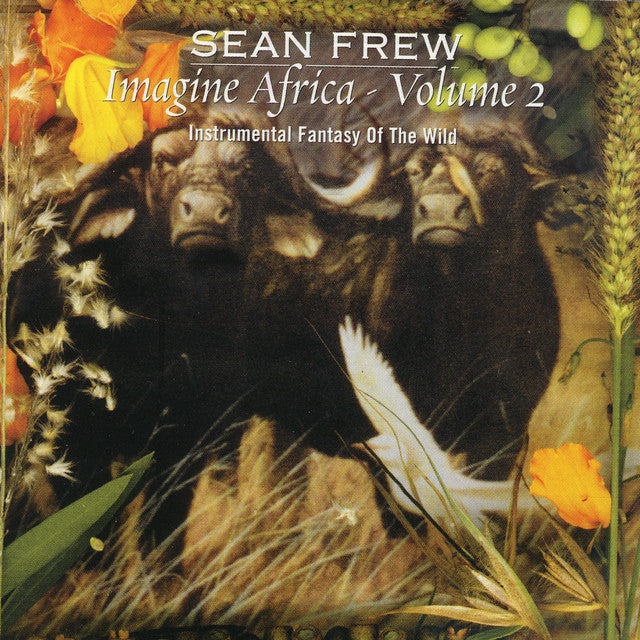 Sean Frew - Imagine Africa, Volume 2 – Ontheroadbooks