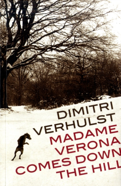 Madame Verona Comes Down the Hill Dimitri Verhulst – Ontheroadbooks